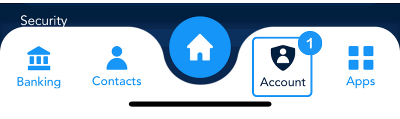 How do I change my email? - Senit