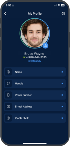 What is the Senit Profile? - Senit